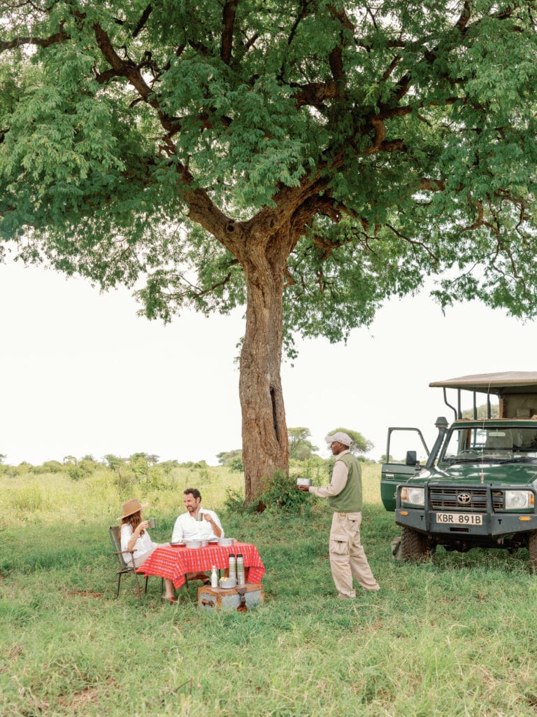 Guided vs Self-Guided Safaris: Which is Best for You? - Demic Africa